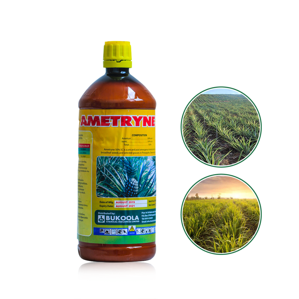 AMETRYNE - Bukoola Chemicals