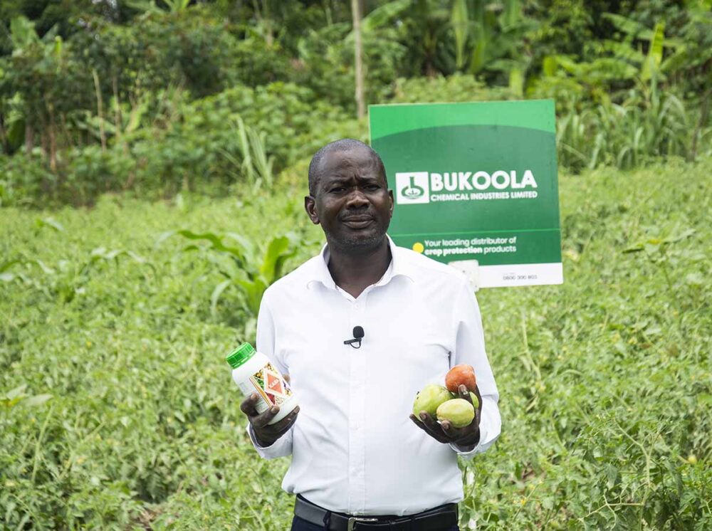 Our services - Bukoola Web