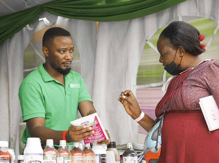 Our services - Bukoola Web