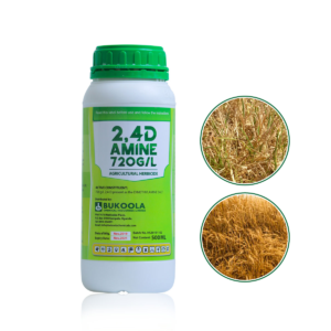 Online store - Bukoola Chemicals