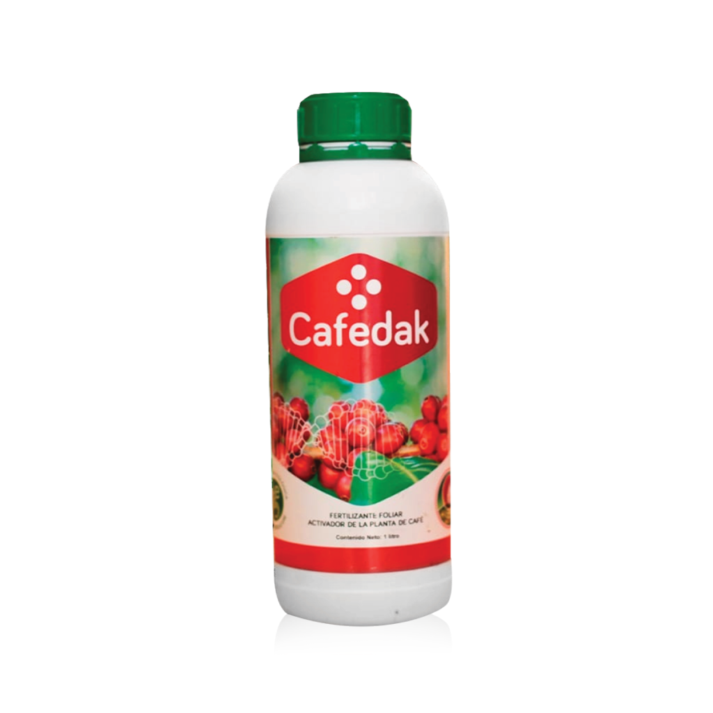 CAFEDAK - Bukoola Web