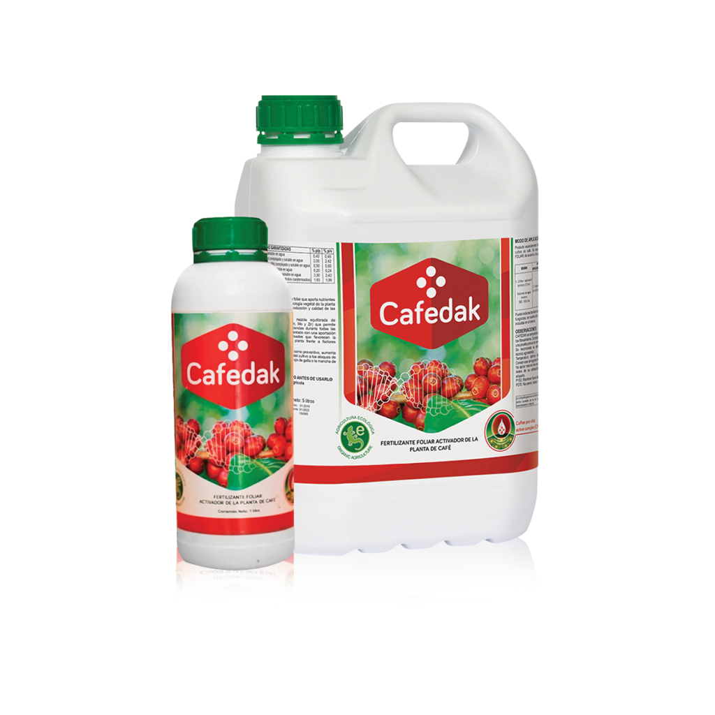 CAFEDAK - Bukoola Web