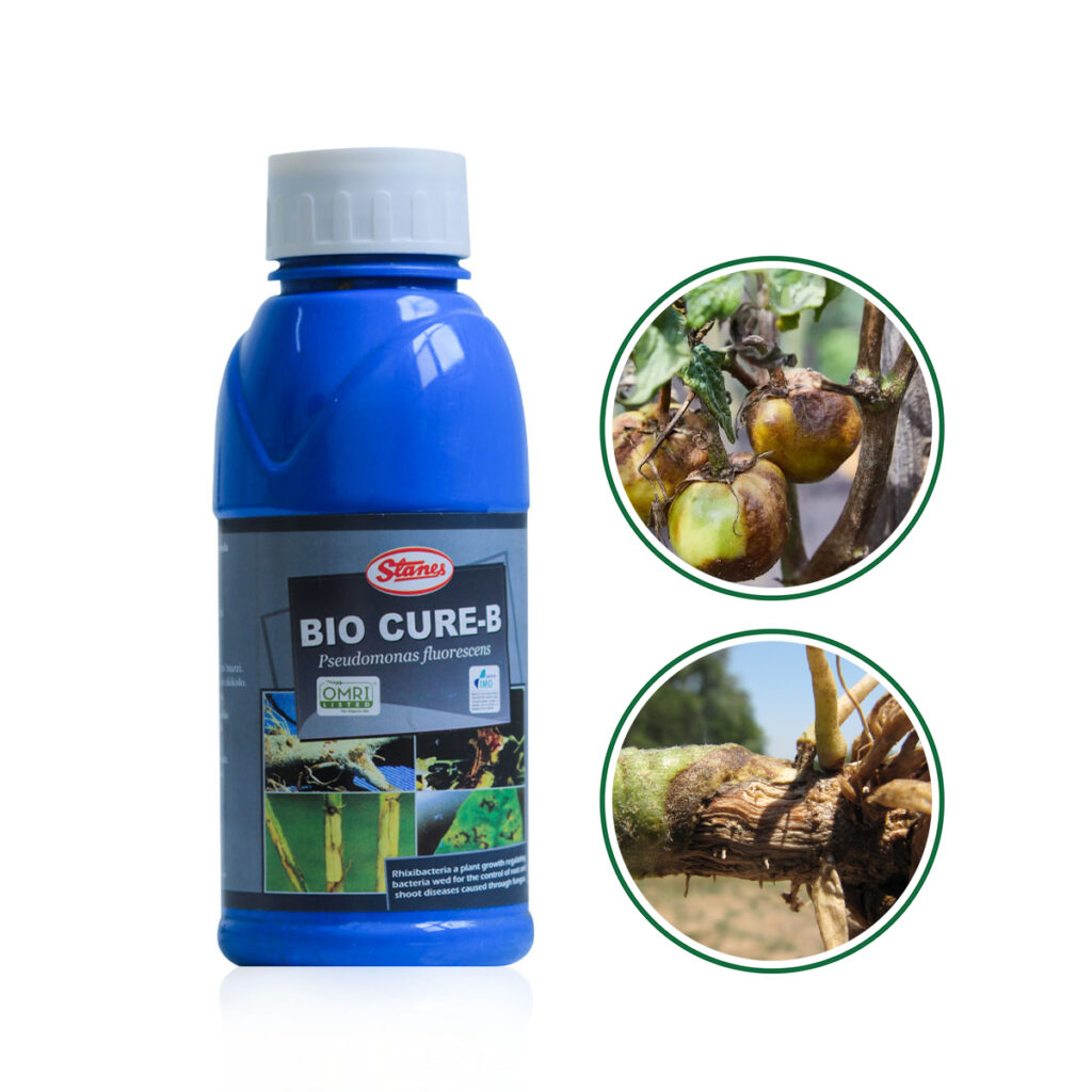 Bio Cure-B - Bukoola Web