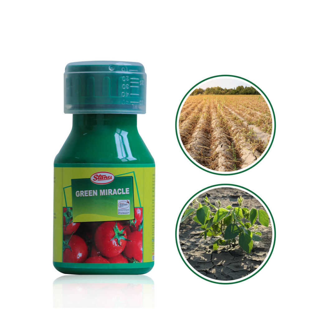 Green Miracle - Bukoola Web